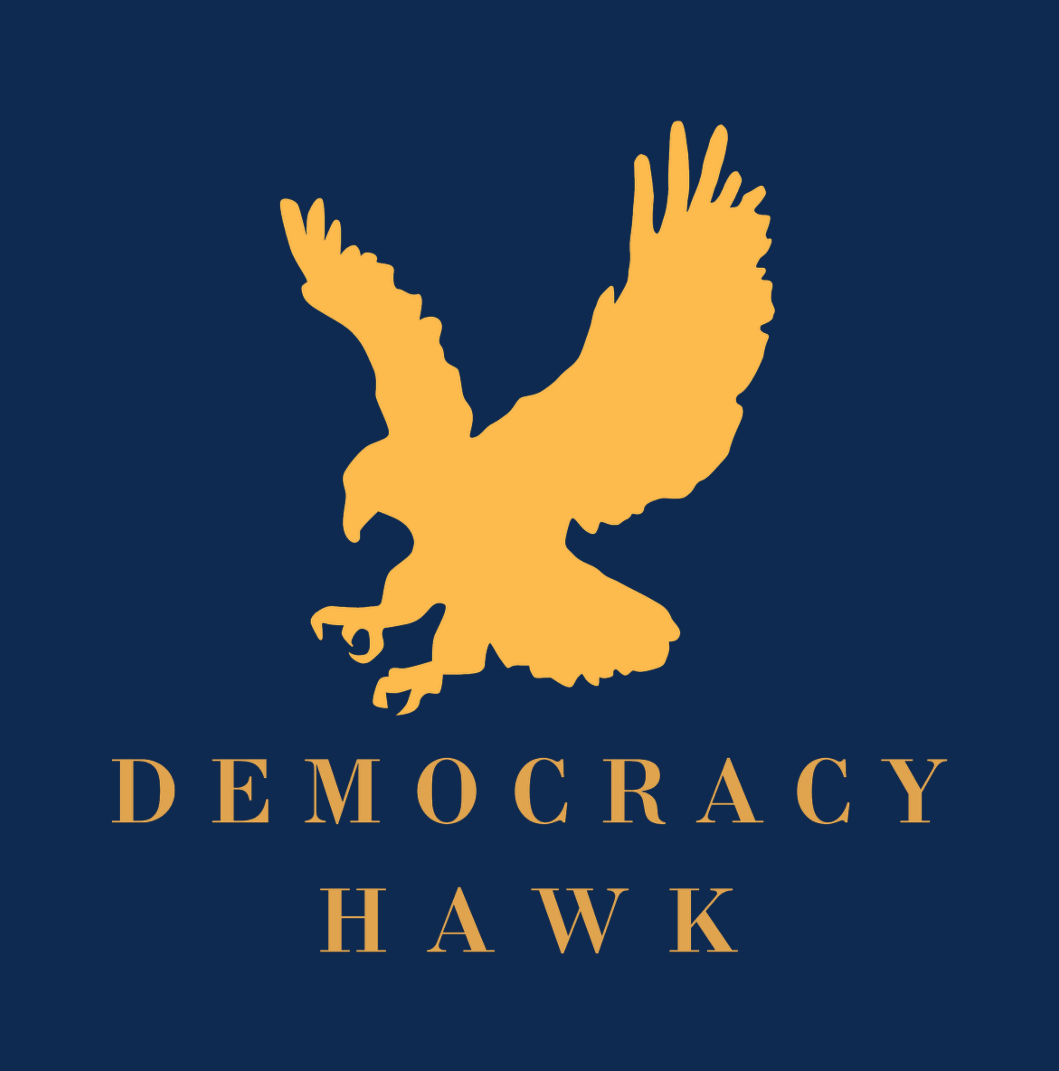 Democracy Hawk – Wear Them Out, LLC