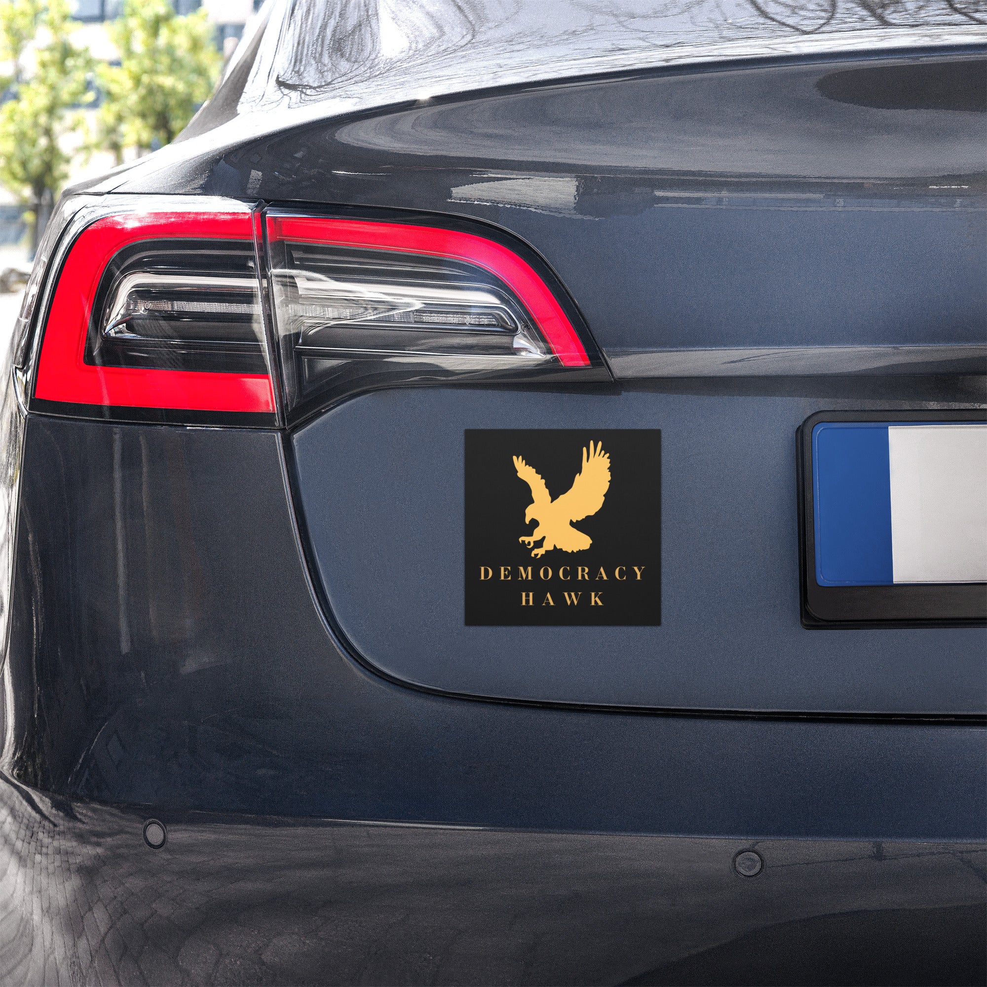 Democracy Hawk – Wear Them Out, LLC